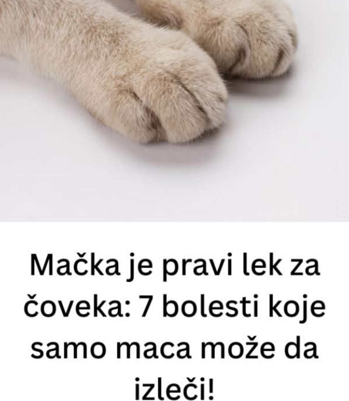 Mačka je pravi lek za čoveka: 7 bolesti koje samo ona može da izleči ...