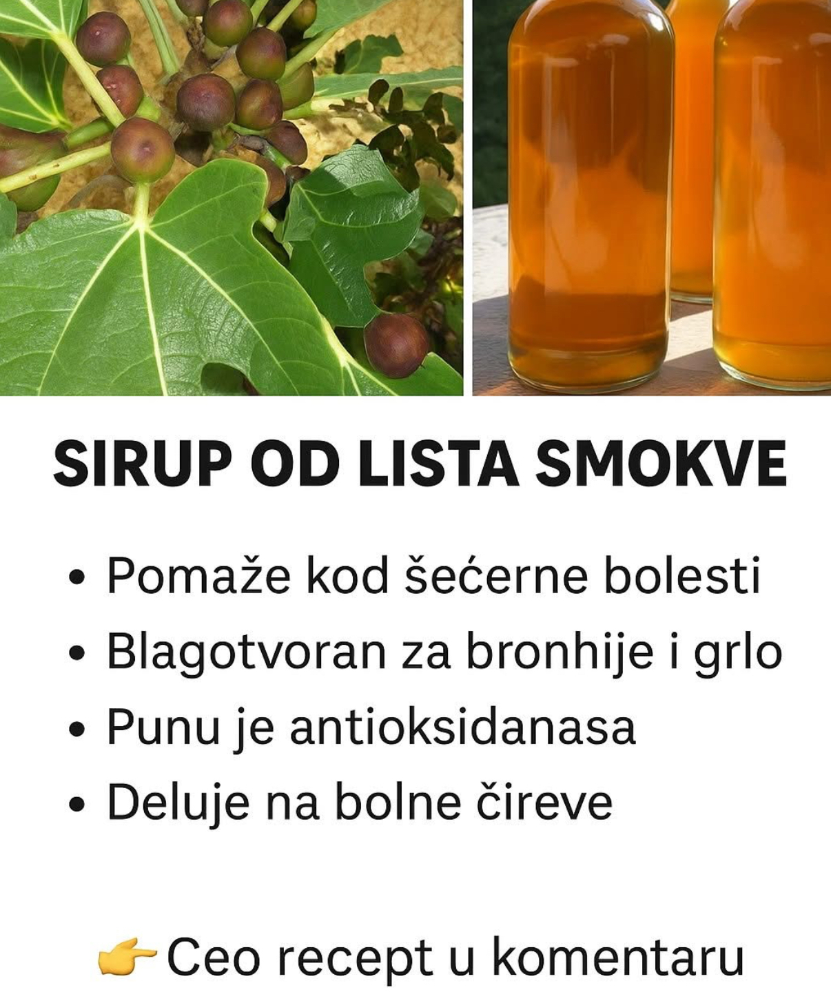 Smokvin list u službi zdravlja: Napravite sirup koji jača organizam ...